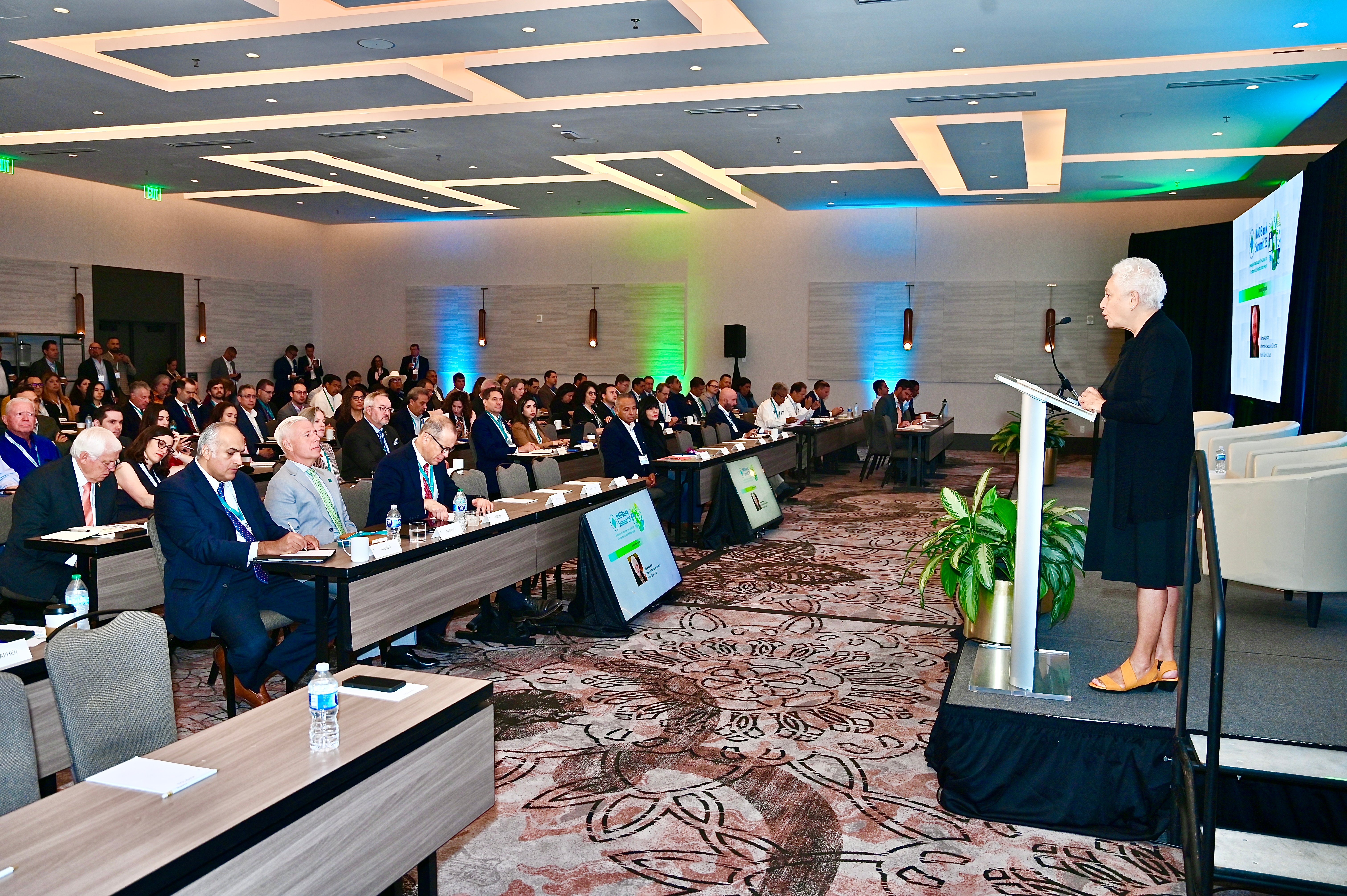 Building a Stronger, More Resilient Border Region: Highlights from ...